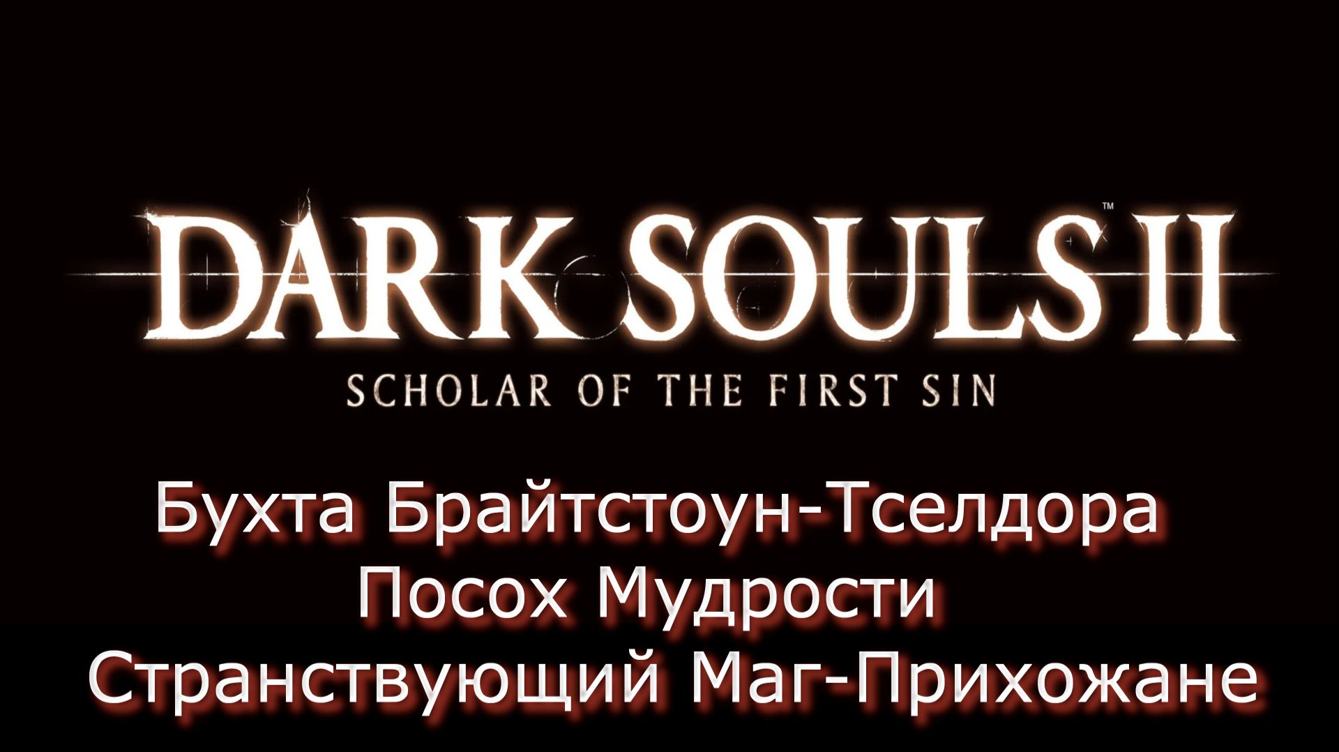 Dark Souls 2 SOTFS Прохождение_12