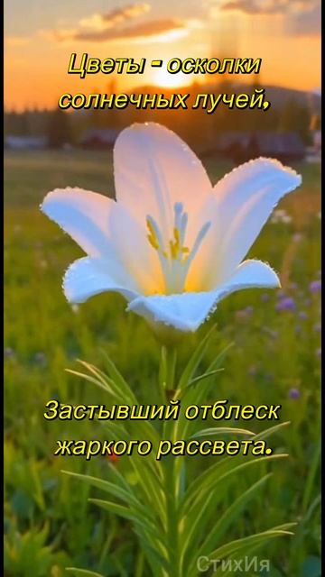 Январь морозный