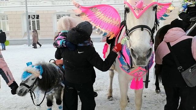 Екатеринбург. Простуженная лошадь.