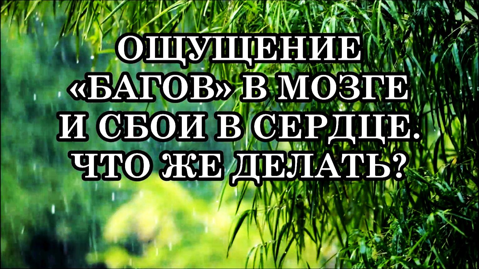 ОЩУЩЕНИЕ «БАГОВ» В МОЗГЕ И СБОИ В СЕРДЦЕ