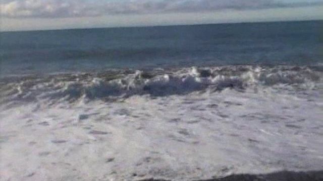 Сочи. Декабрь. 2025. Библиотека. Пляж.Санаторий Лазурный берег.