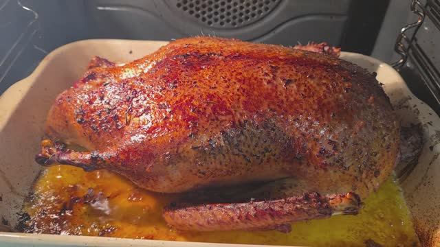 Рождественский гусь в брусничном маринаде и вине, фаршированный квашеной капустой, салом и айвой