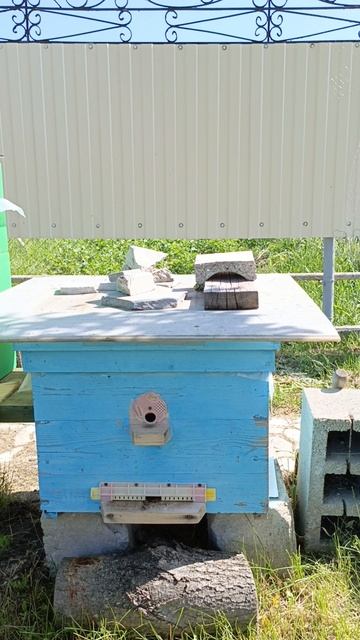 продолжаю восстанавливать потери