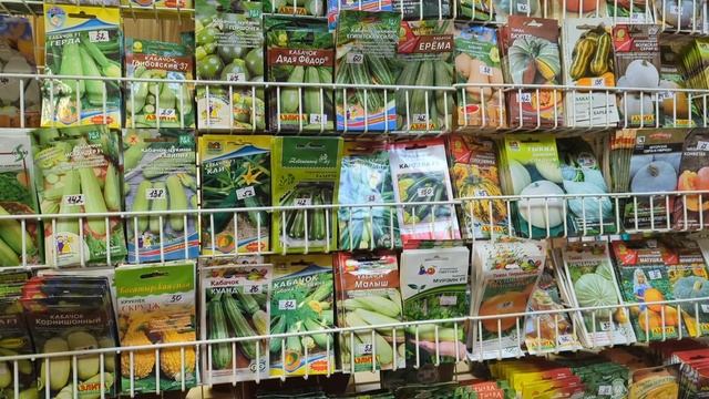 07-01-2026..С Рождеством!маленький магазин семян.