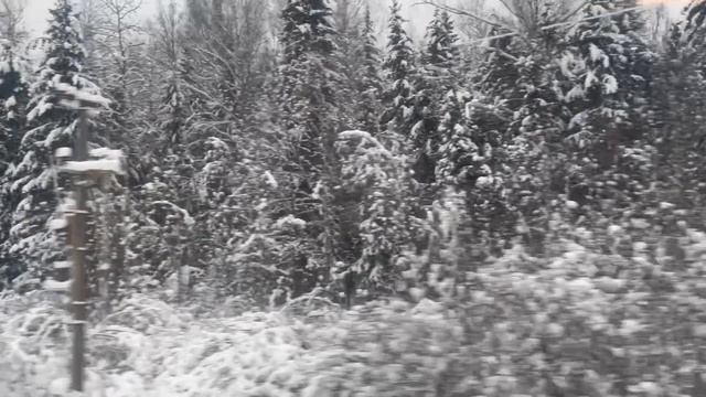 Возвращение из Калининграда домой