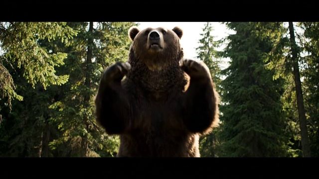 Я за Россию