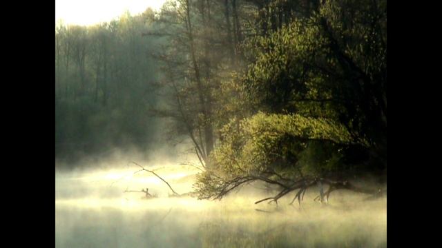 река Можа май 2007 года