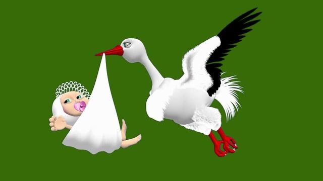 Аист с малышом_encoded