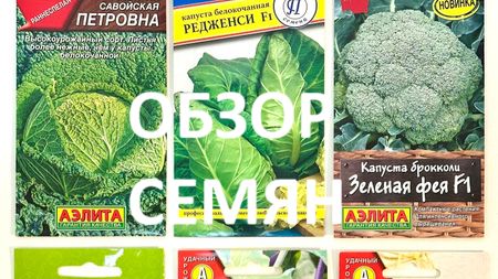 Обзор семян капусты //что буду сажать?