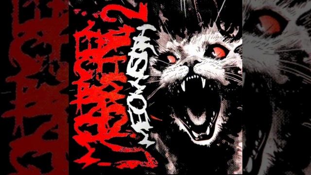 MONTAGE LOST MEDIA 2 MEOWSYNTH ((Ultra Mega Slowed)