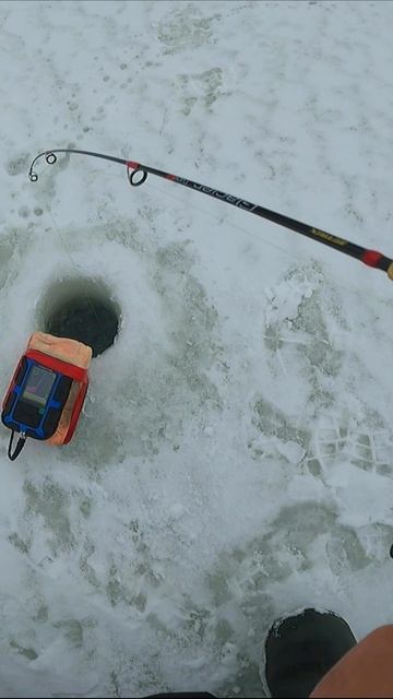 СУДАК НА ВИБ/ ЛОВЛЯ СУДАКА В КОРЯЖНИКЕ/РЕКА САМАРА/ ПРИМАНКА - FISH GAMES "JAKU 85"