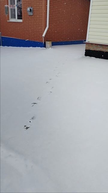 Нам трудно угодить! 06.01.2026.