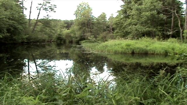 река Можа июнь 2010 года