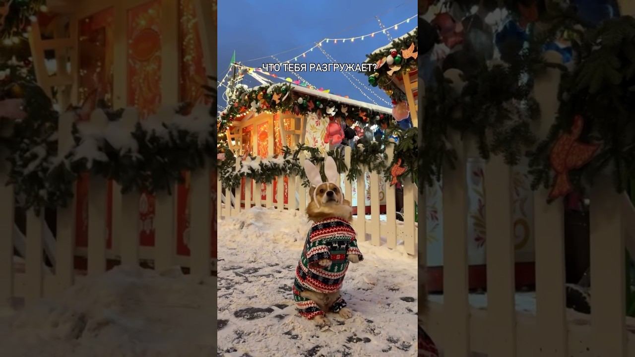 А что у вас?