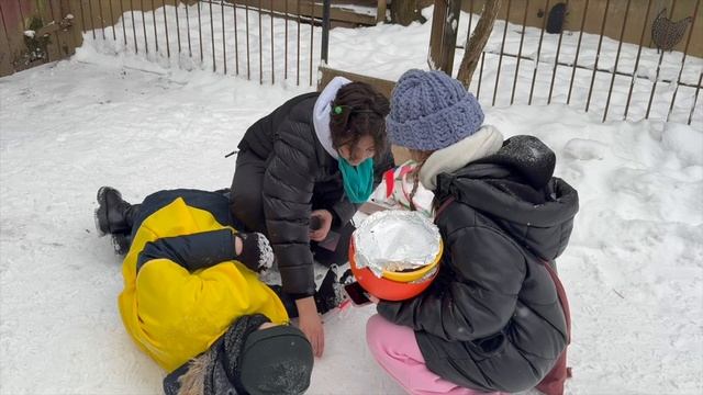 Биологическая игра «Жизнь муравейника»