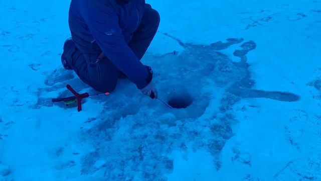 Светлые Горы Форель 07.01.2026г.