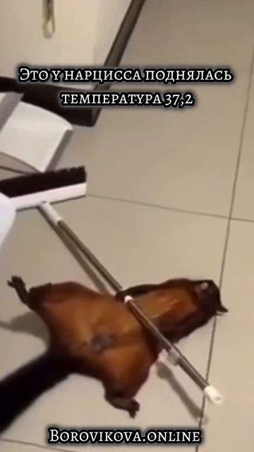 #нарцисс #драма #ипохондрия #внимание #манипуляции #симптомы #преувеличение #контроль