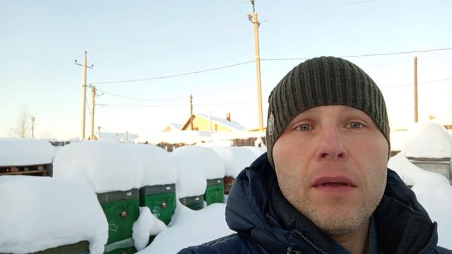 -35 градусов первые морозы в Перми ,зимовка пчёл на улице