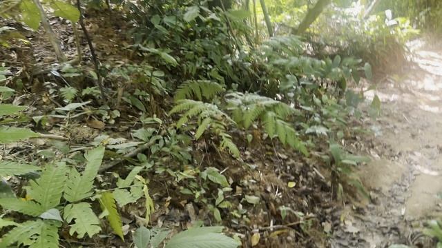 Водопад Ton Sai Waterfall 2026