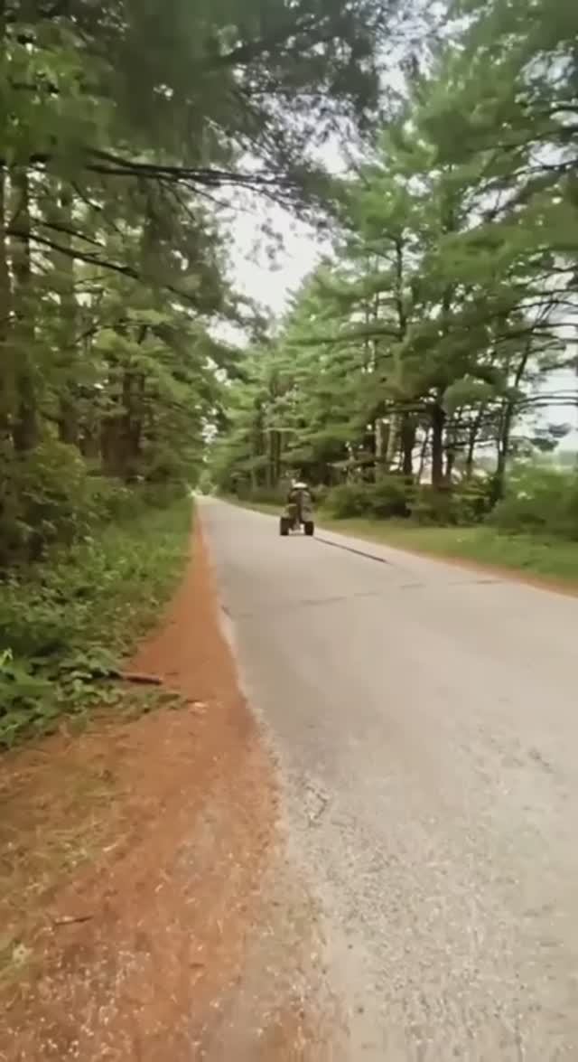 Встал на дыбы, не рассчитал - He reared up, miscalculated