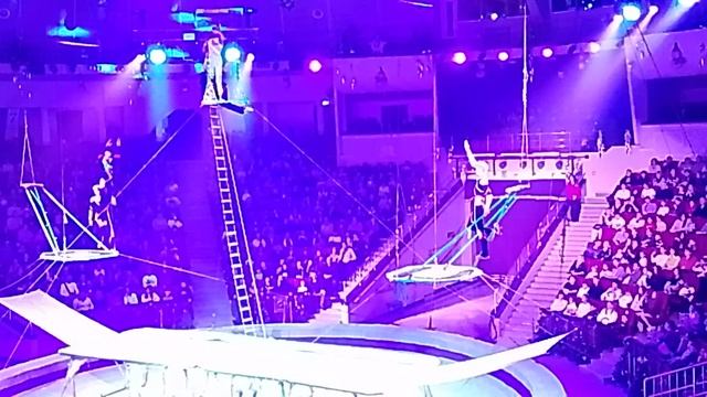 Акробаты тропический цирк-1001 песенка