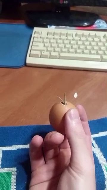 яйцо... мы?! #shorts #ретроигры #memes