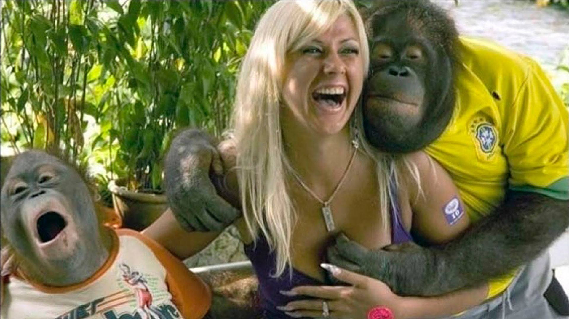 ПРИКОЛЫ 2026 Смешные видео - Лучшие ПРИКОЛЫ 1