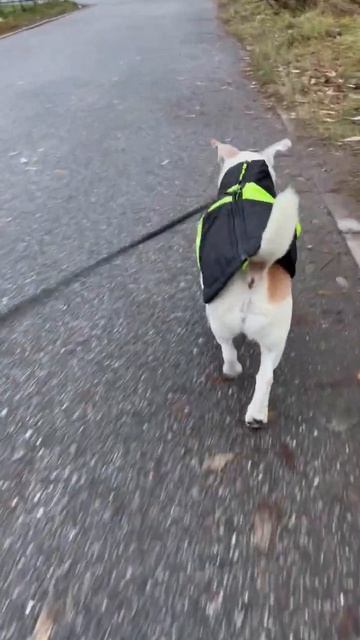 На это можно смотреть бесконечно