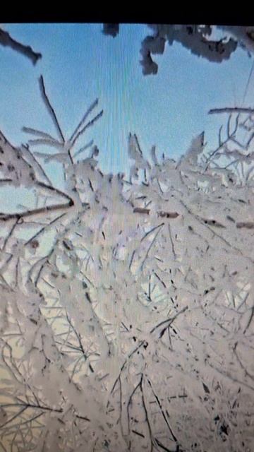 С рождеством Христовым!