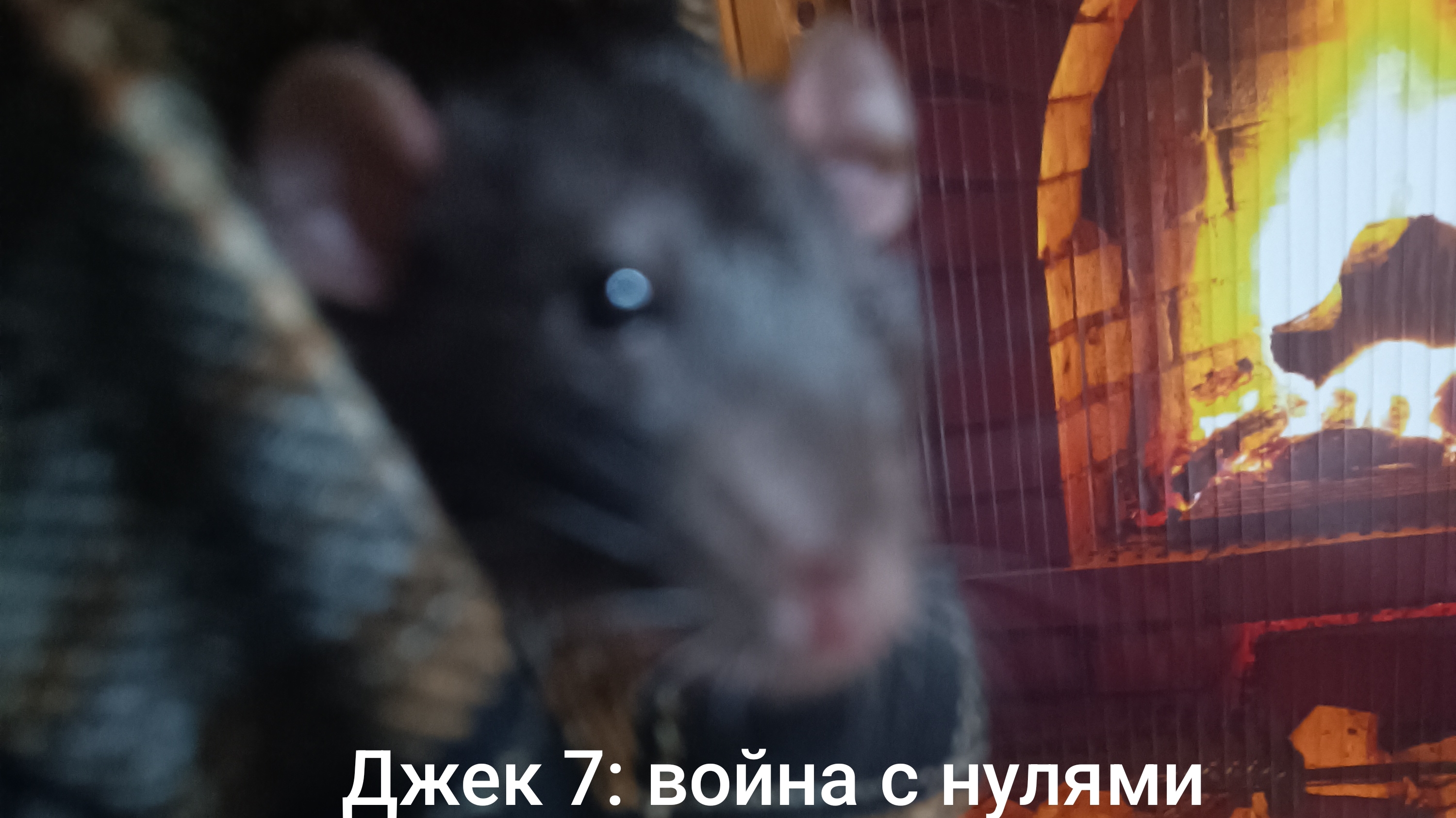 Фильмы