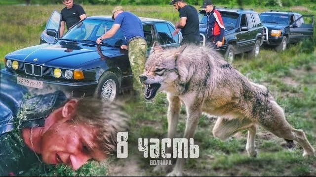 НАСТОЯЩИЙ ВОЛК ДУШИТ НАШУ Бригаду!-8 часть