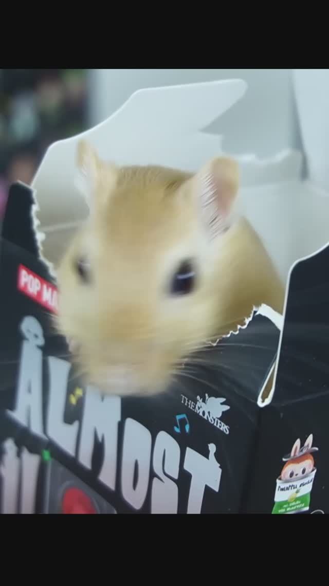 ЛАБУБУ удивительный сюрприз в коробочке #лабубу  #labubu