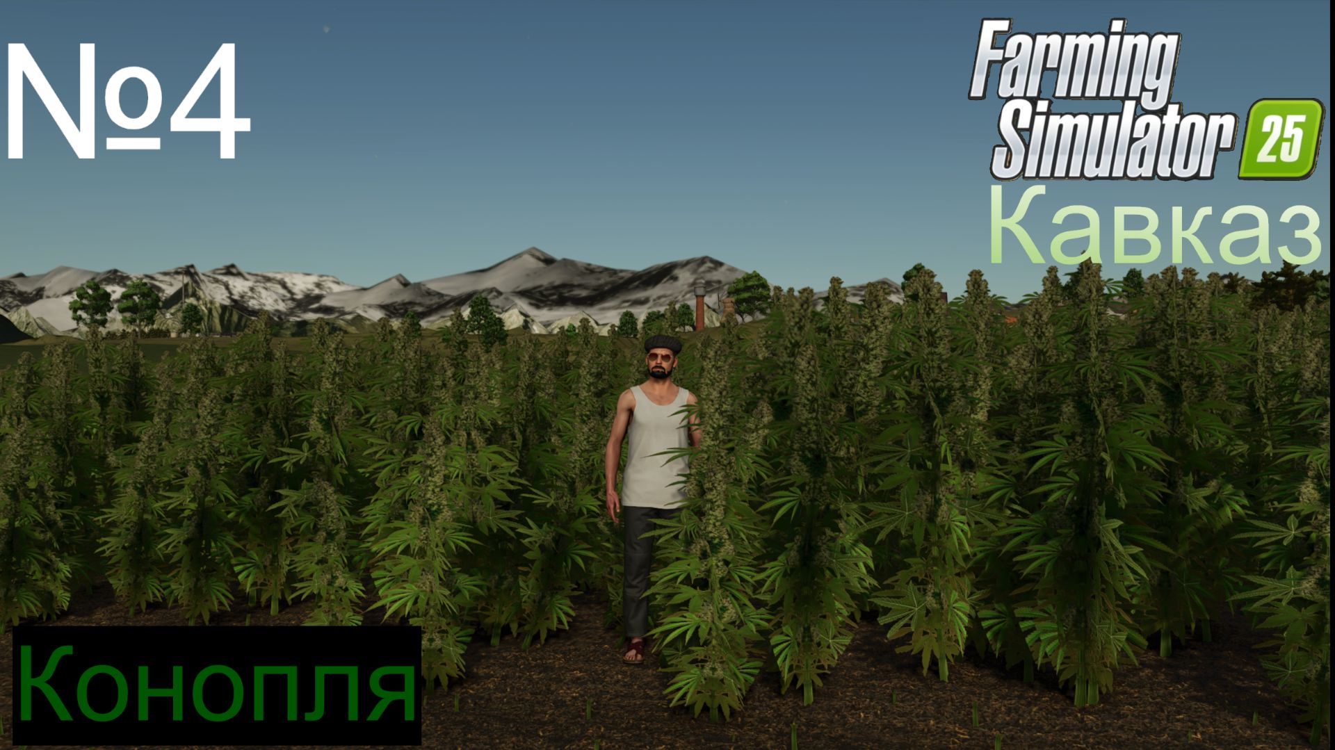 FS25 ч4.Кавказ. Конопля.