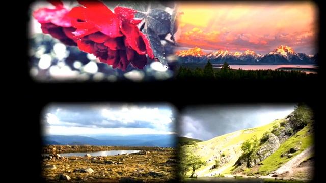 Emil Nikitin - Dolour