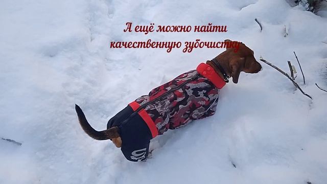 Алиса вышла на зимнюю разминку