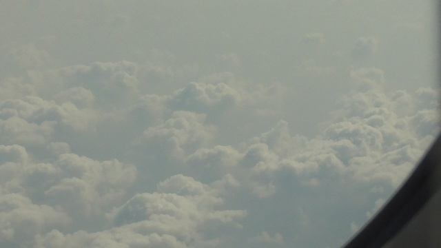S1950008