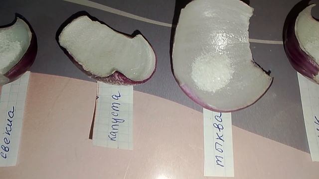 🔮 Гадание на урожай 2026: что скажет судьба? 🌾✨