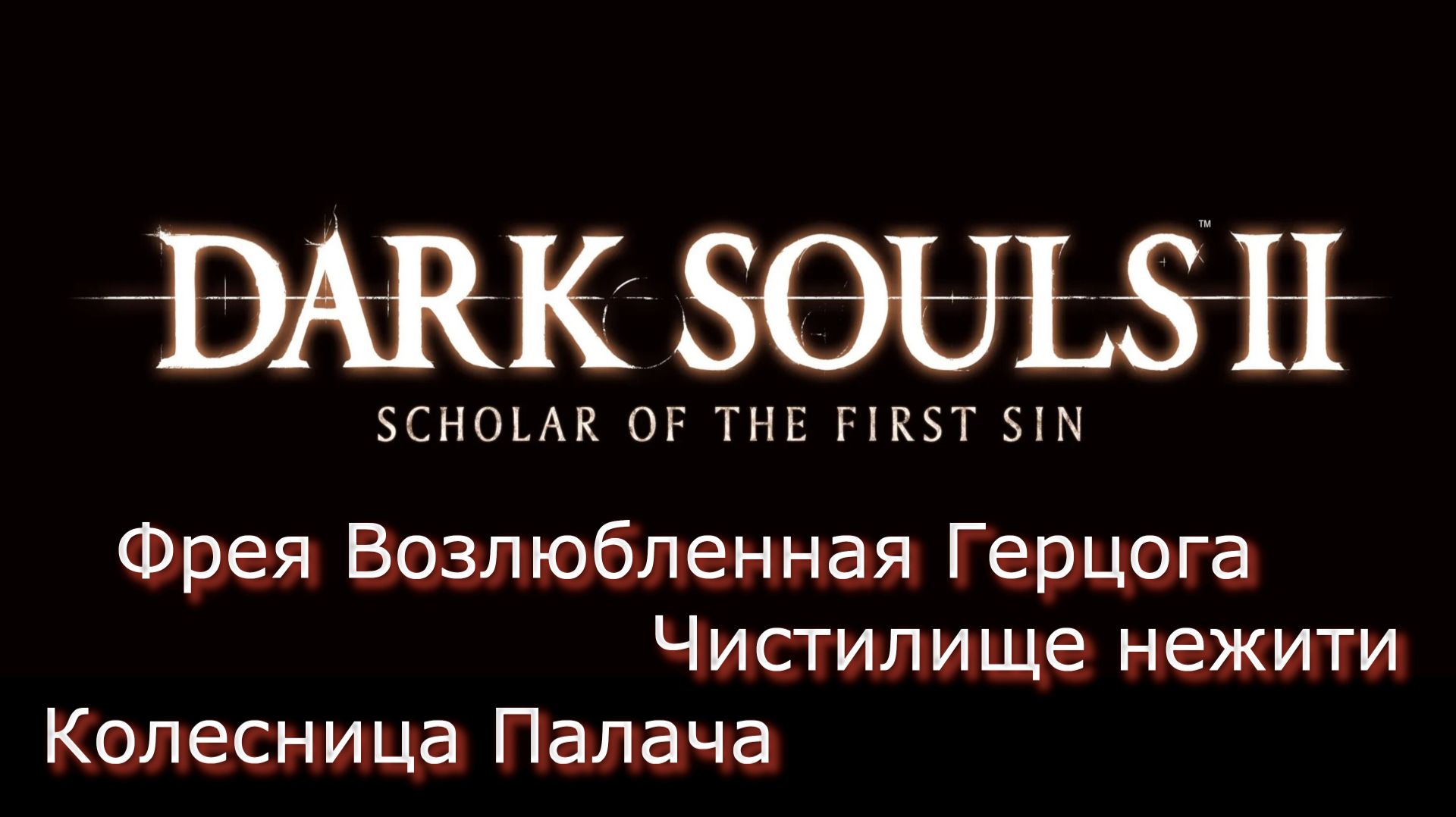 Dark Souls 2 SOTFS Прохождение_13