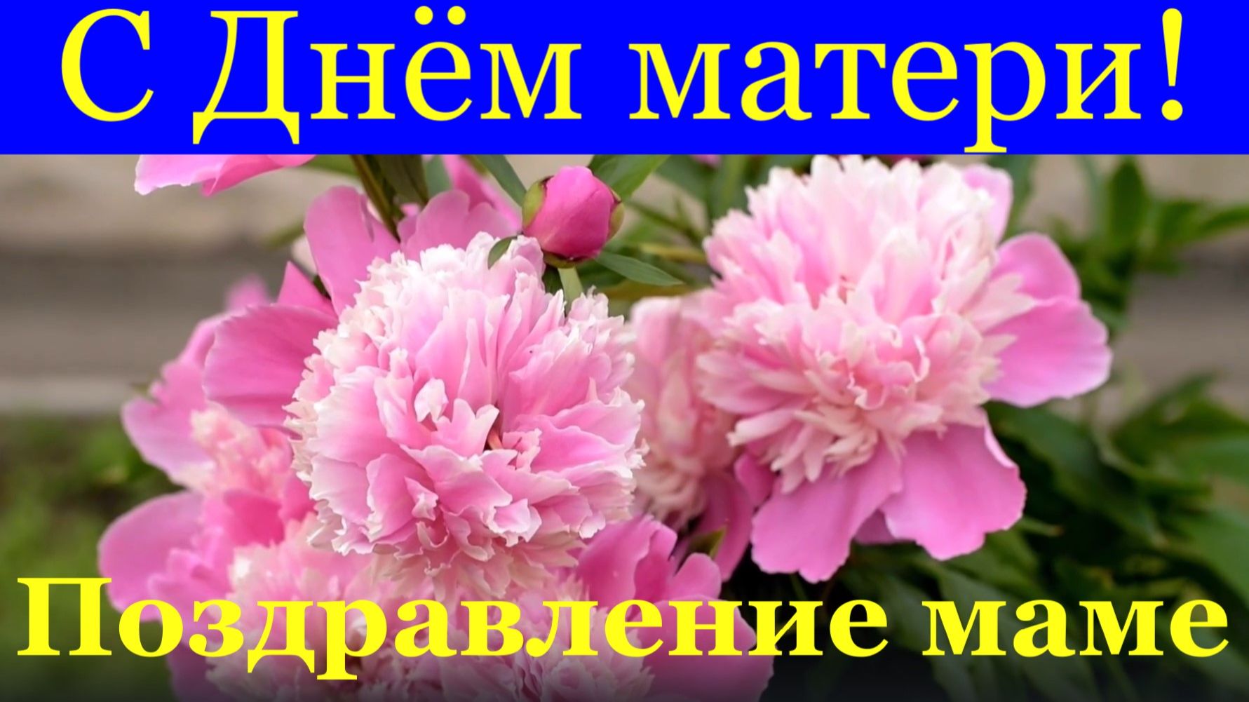 Поздравление маме от сына в День матери! С Днём матери!