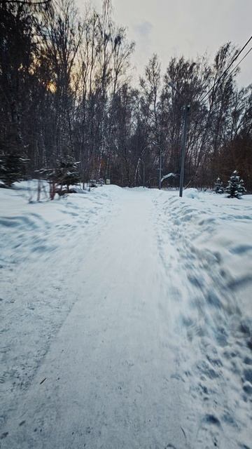 Фэтбайк зимой. С горки