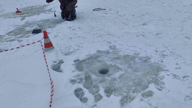 Светлые Горы Форель2 07.01.2026г.