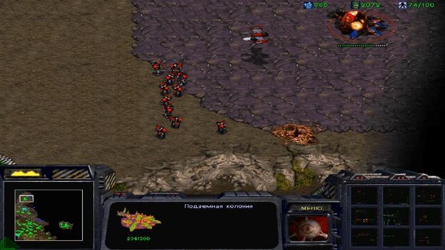 StarCraft 1 3