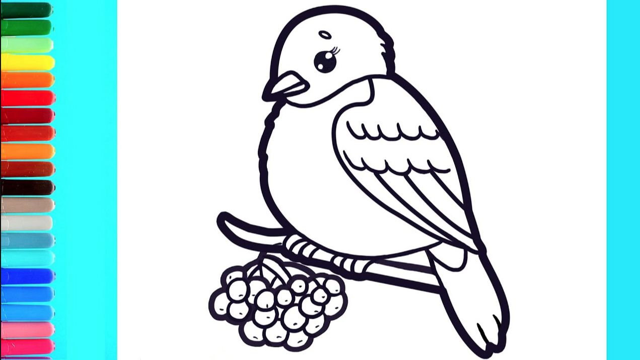 Мультик - раскраска для детей СНЕГИРЬ. Учимся как рисовать ПТИЦУ
