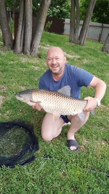 немного юмора