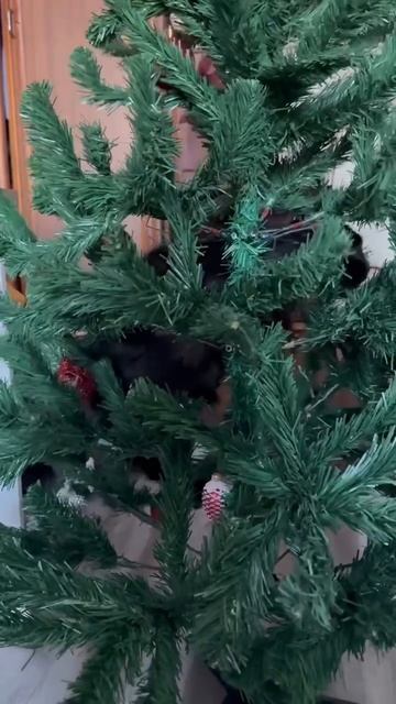 Котя помогает снимать игрушки с ёлки 😂 #смешныекоты #котики