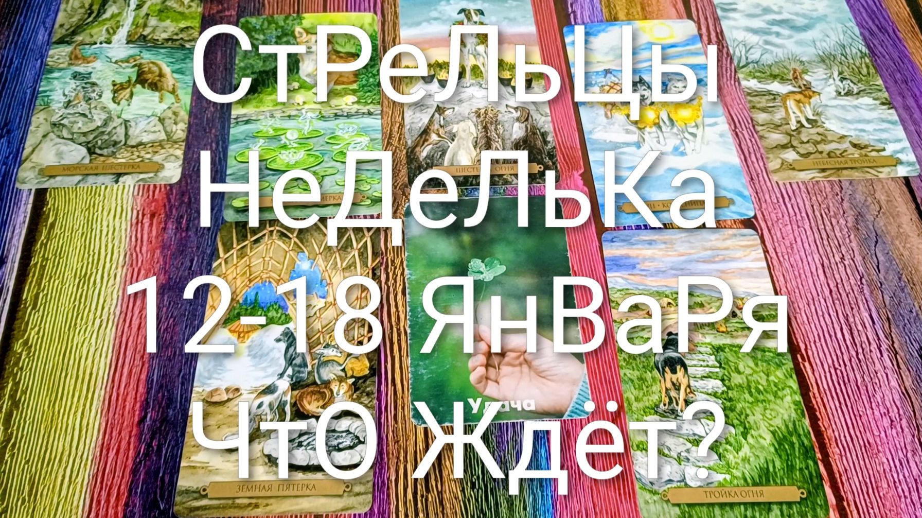 #СТРЕЛЬЦЫ ТАРО НЕДЕЛЬКА 12-18 ЯНВАРЯ 🌲💖🌲#ГаданиеНаБудущее #ТароПрогноз #ТароНеделя #ТароГадание