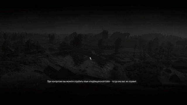 The Witcher 3 Wild Hunt #2.