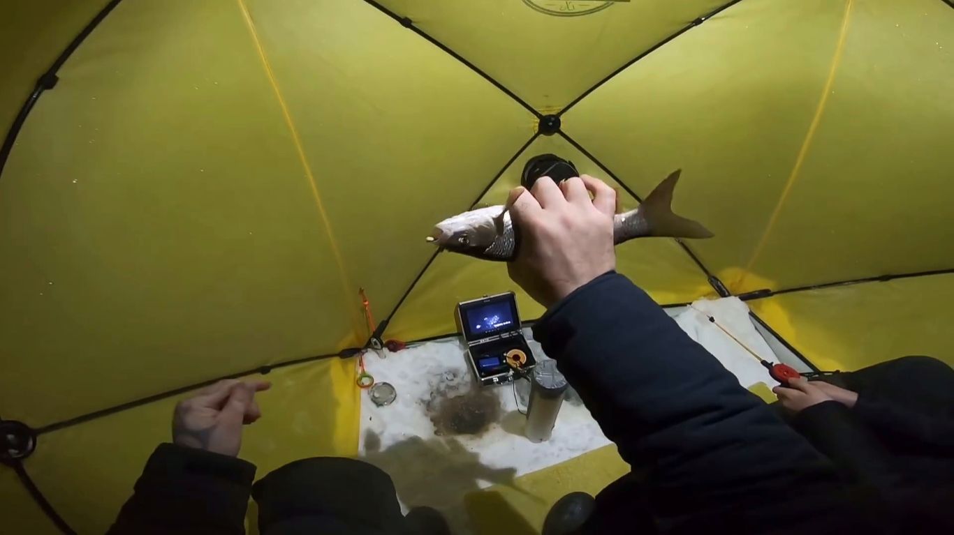 Охота на момчика.