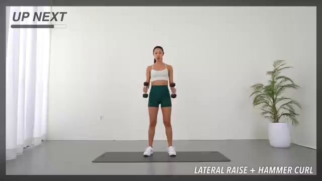 20 MIN Toned Upper Body Dumbbell Workout Arms Back ABS Standing Only No Repeat