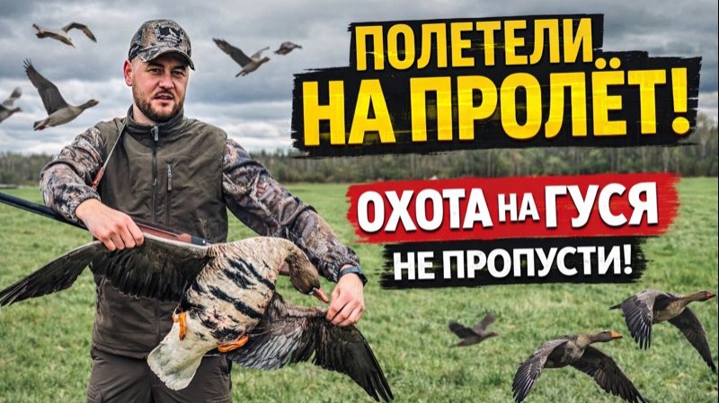 ОХОТА НА ГУСЯ 2024. ЛУЧШИЕ НАЛЕТЫ И ВЫСТРЕЛЫ !!!
